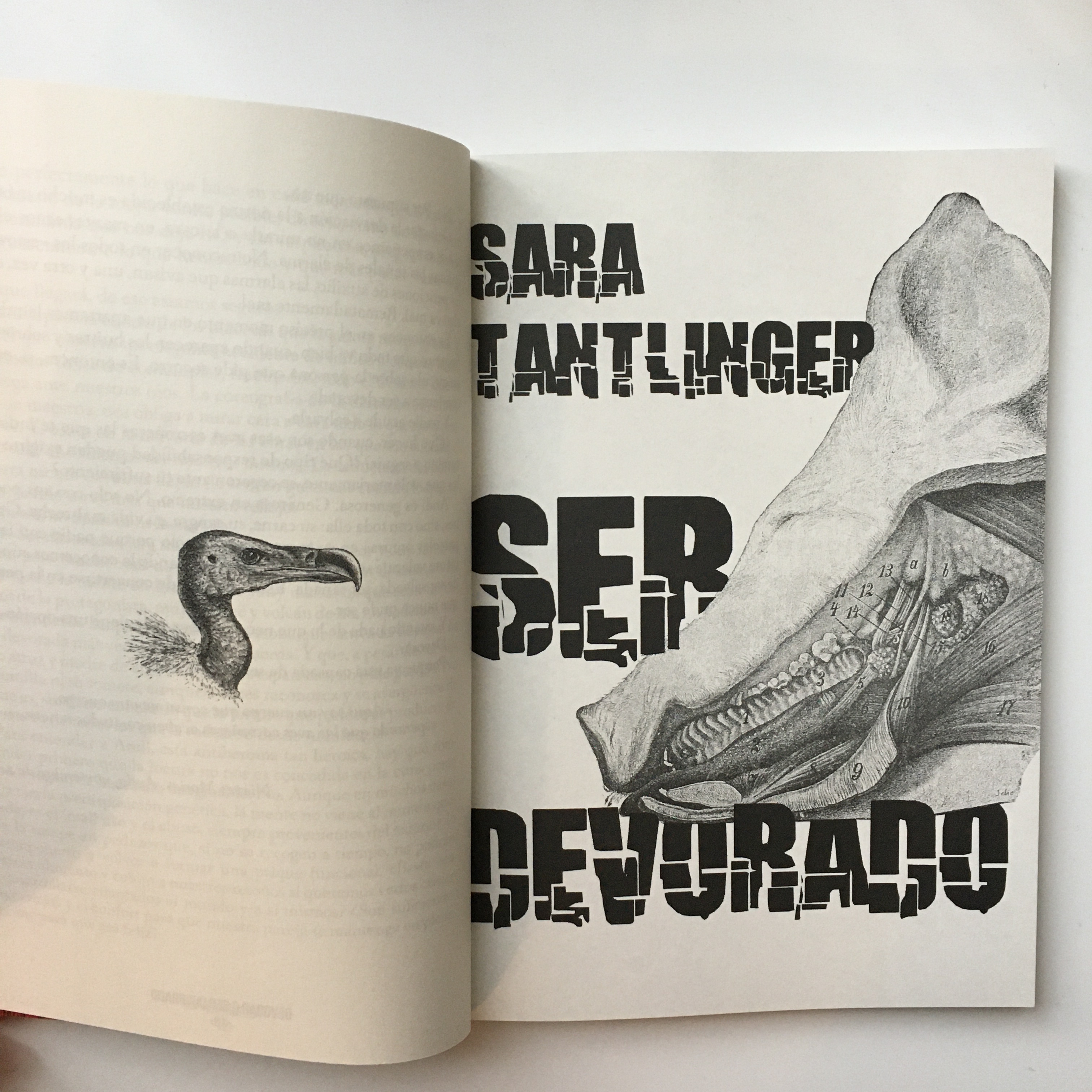 Press conference: «To be devoured», Sara Tantlinger – Altavoz Cultural